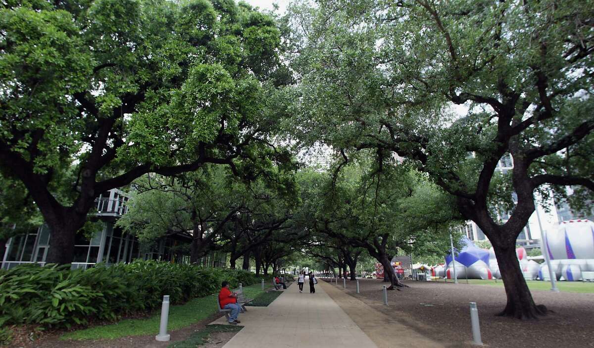 Huffman: Nature's canopy is vital to Houston region