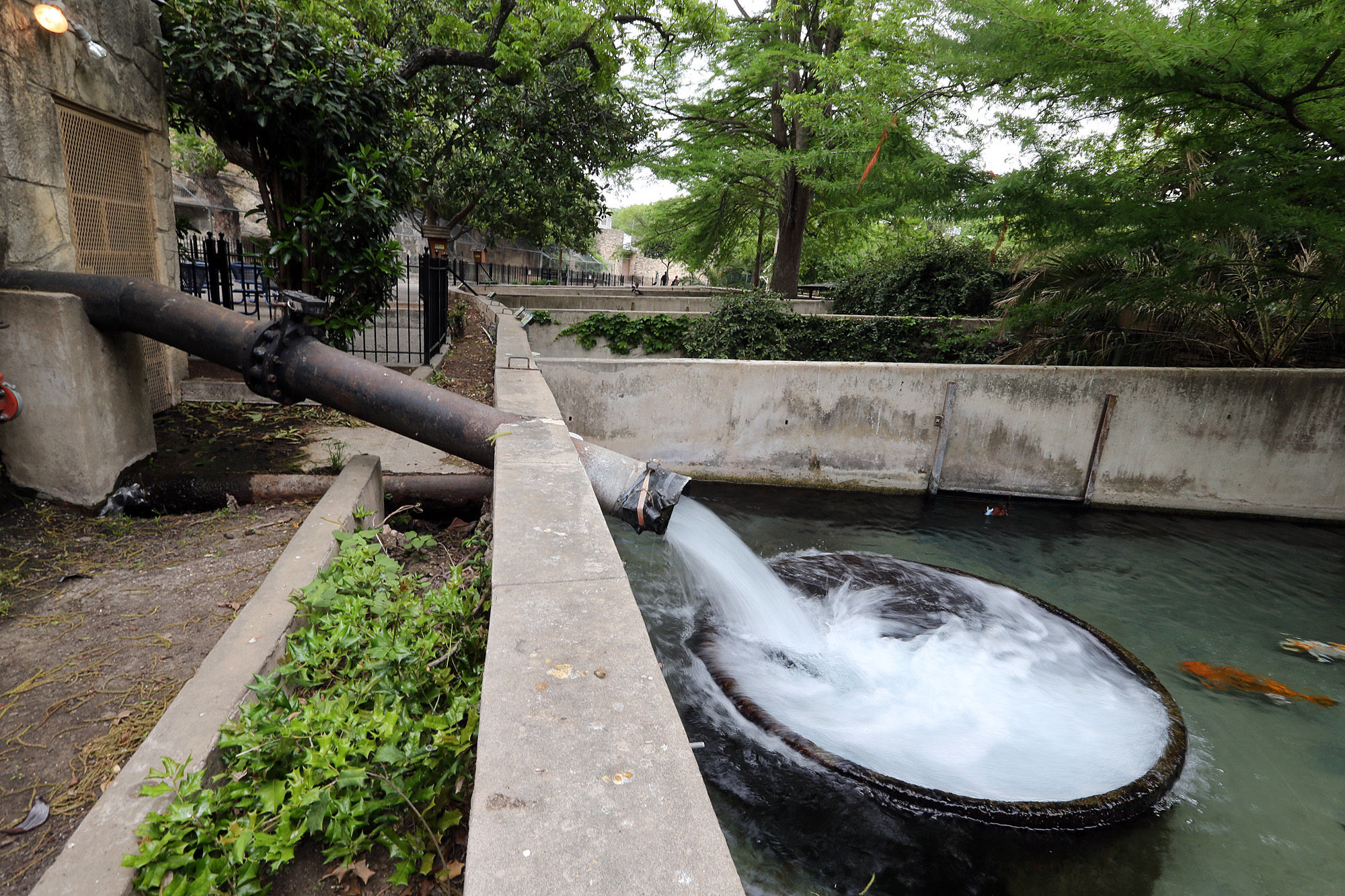 Zoo faces challenges on water usage, waste