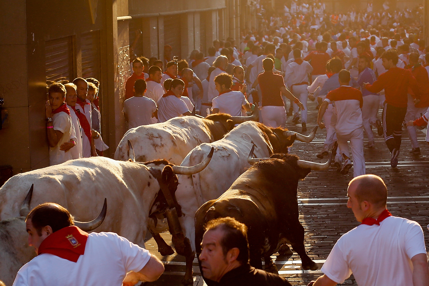 2013 Running of the Bulls in Pamplona