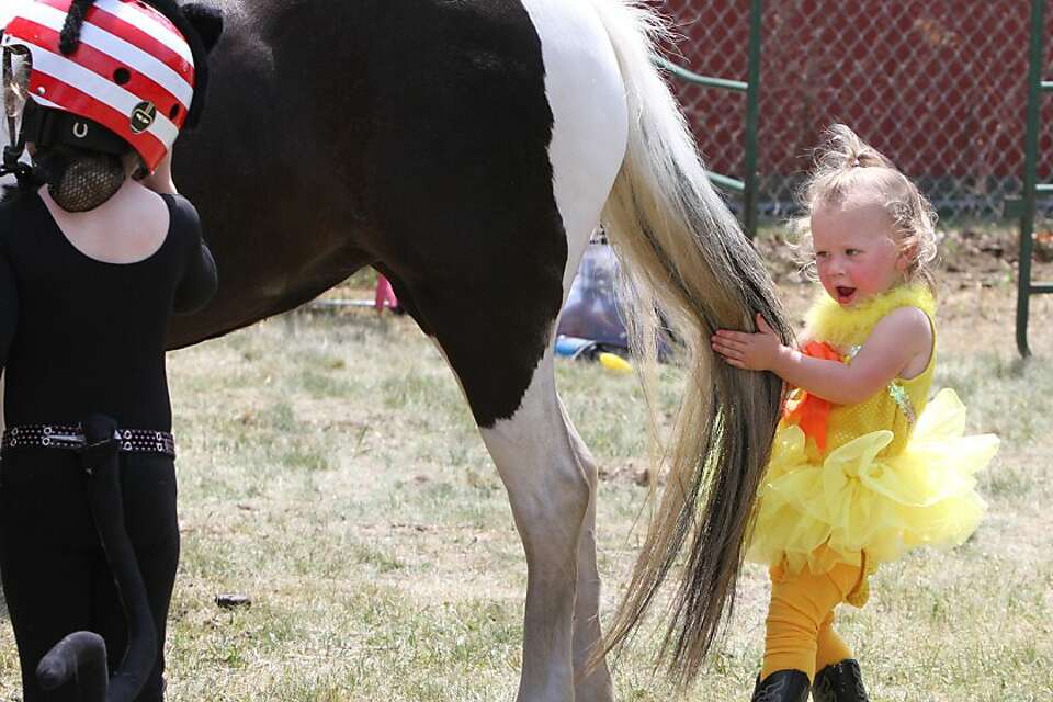 Day in Pictures, July 15, 2013