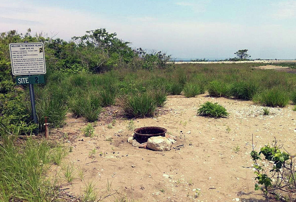 Volunteers get Cockenoe Island ship shape for camping again