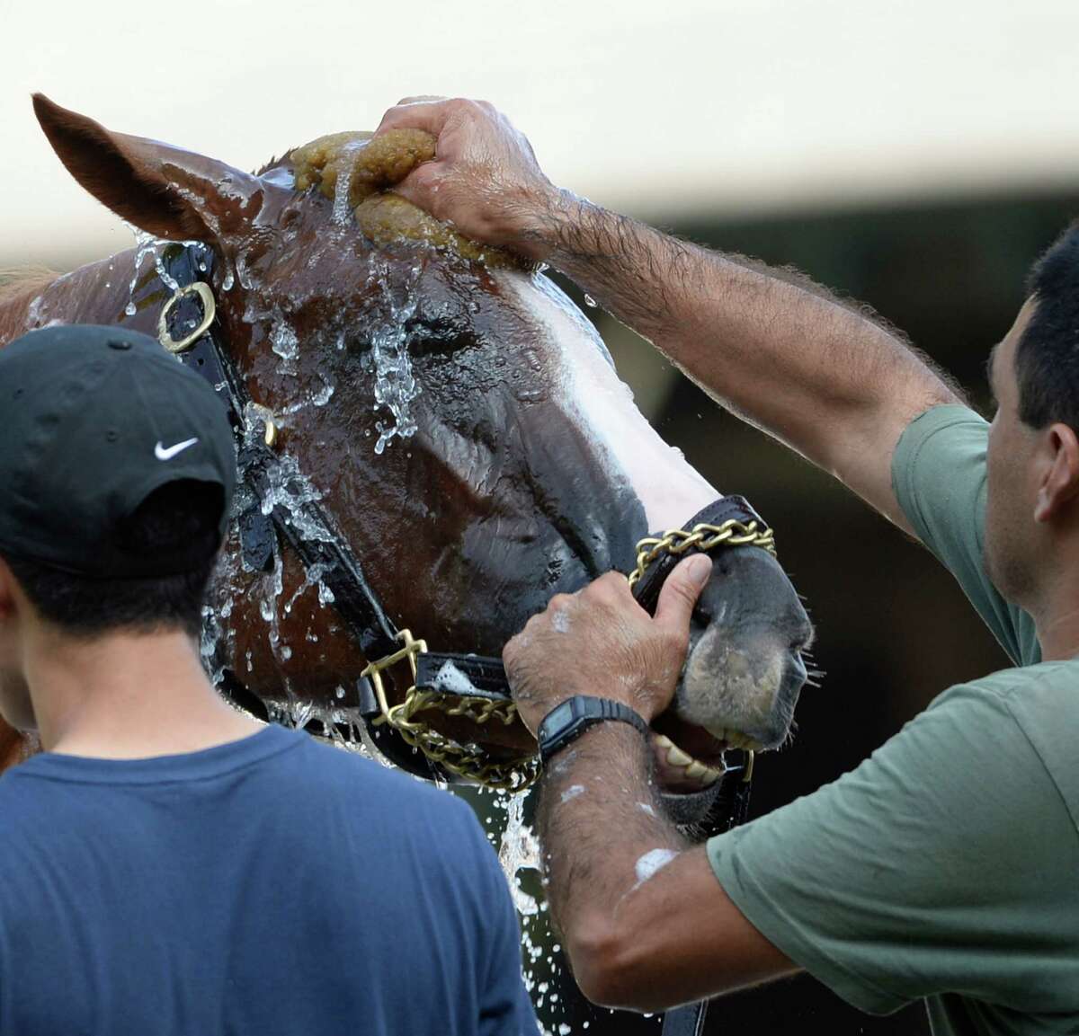 Sizzling start to Saratoga a sure bet