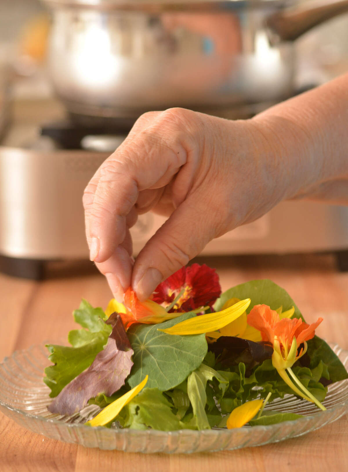 A cozy, comfy cooking encounter