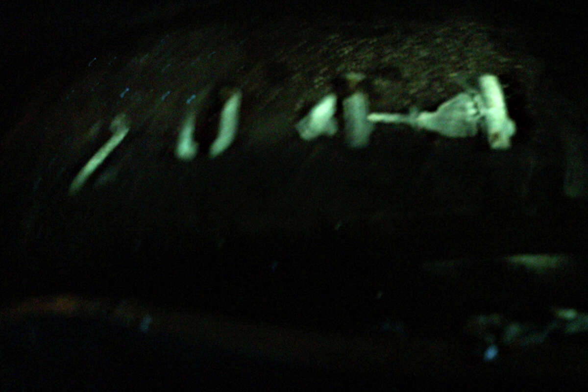 Bezos: Recovered rocket engine came from Apollo 11