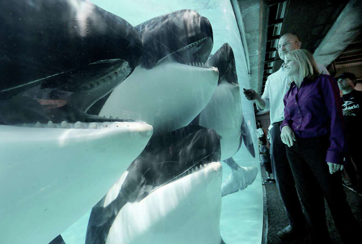 Ex-SeaWorld trainers dispute 'Blackfish,' say phase out whale show