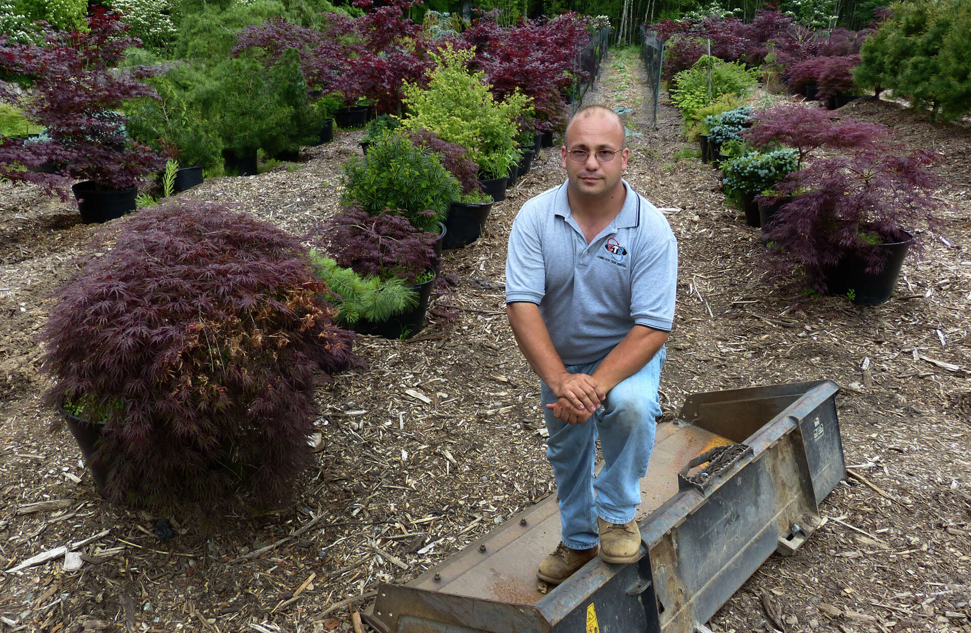 The gold rush for medical marijuana