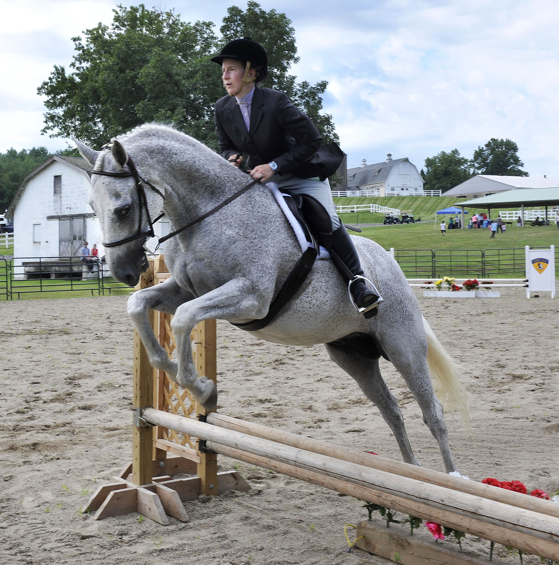 Horses, riders bring out their best