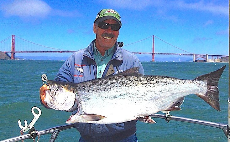 Giant salmon generating big fish tales