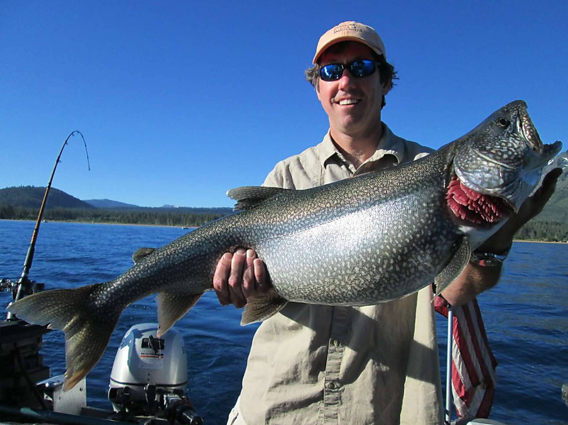 Giant salmon generating big fish tales