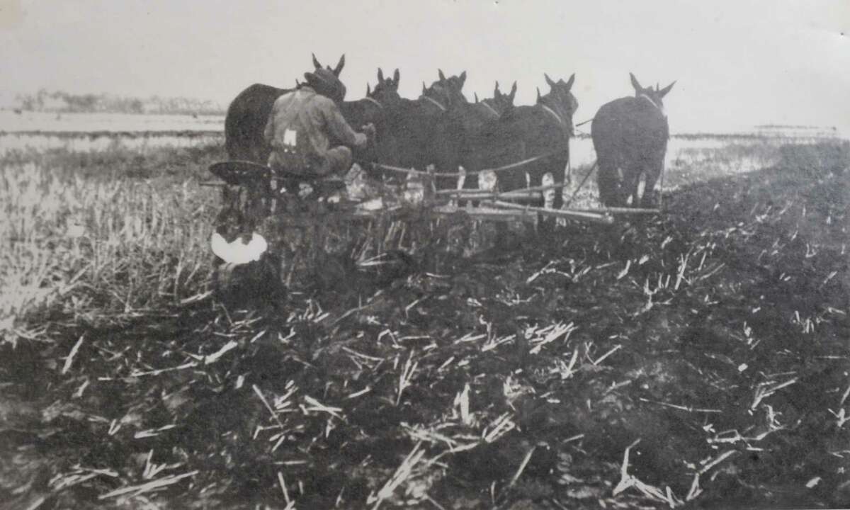 China Texas has a homemade photo-history museum