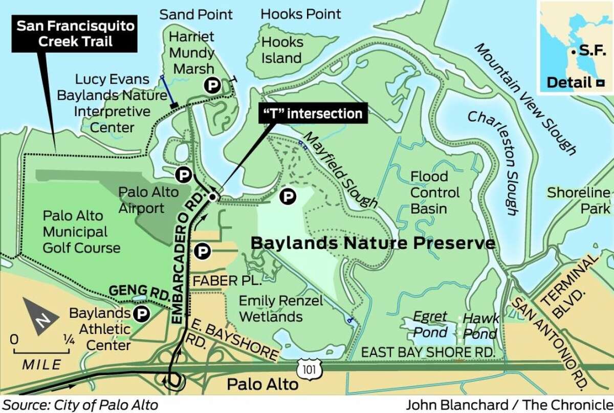 Hike, bike, see birds at Palo Alto Baylands