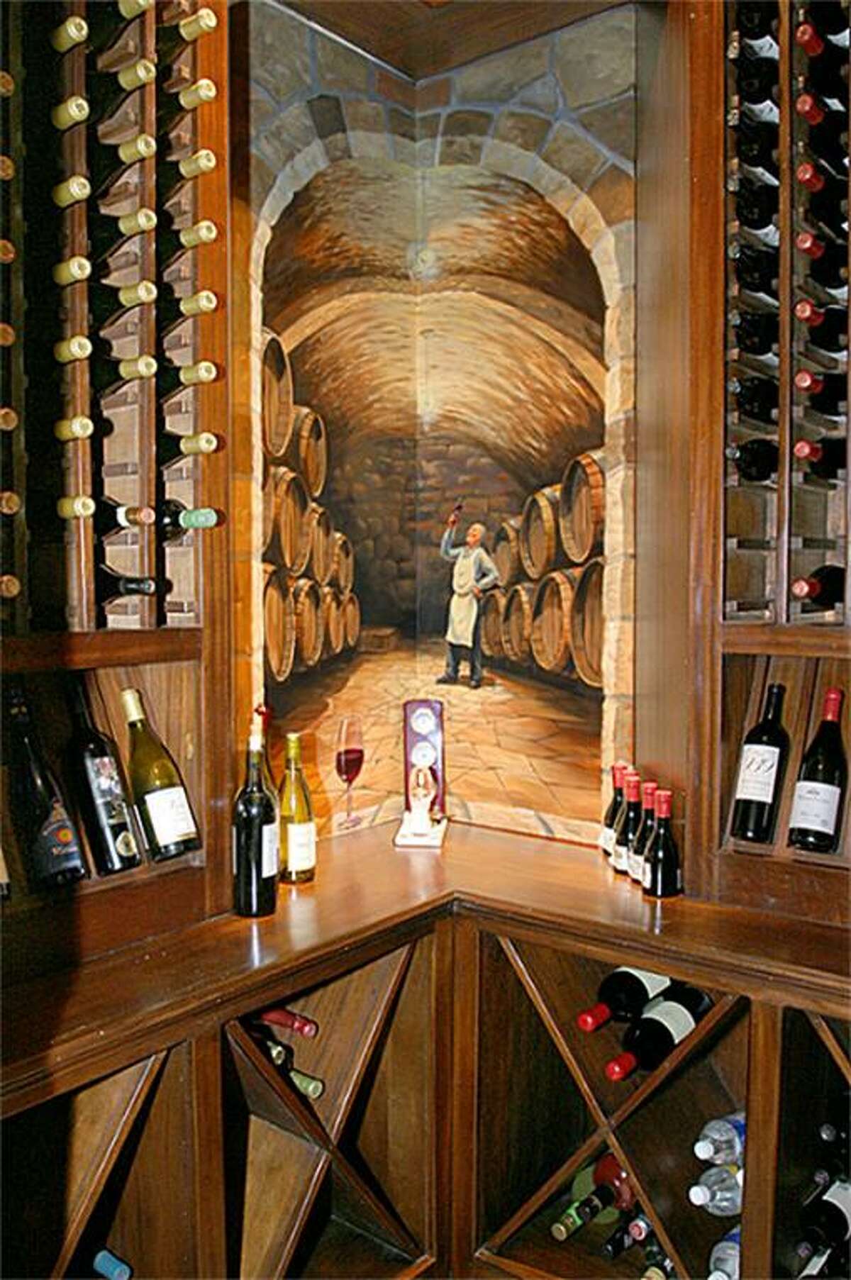 Woodlands home has a backyard surprise