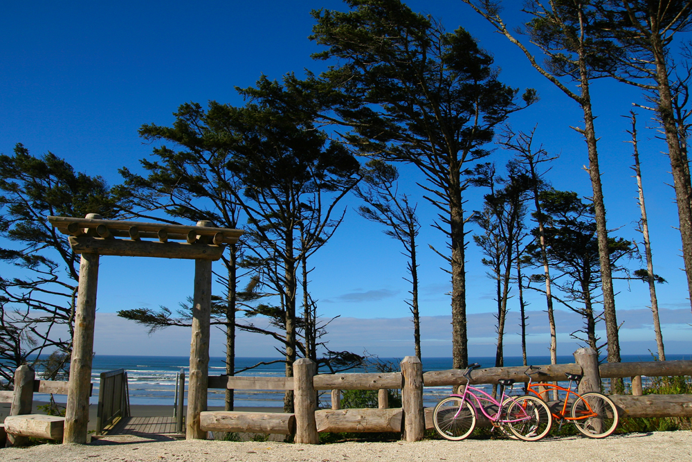 Seabrook: Washington's famous beach town