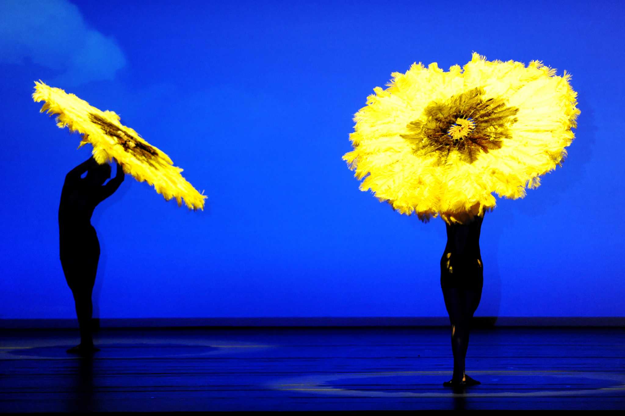 MOMIX dance company at SPAC
