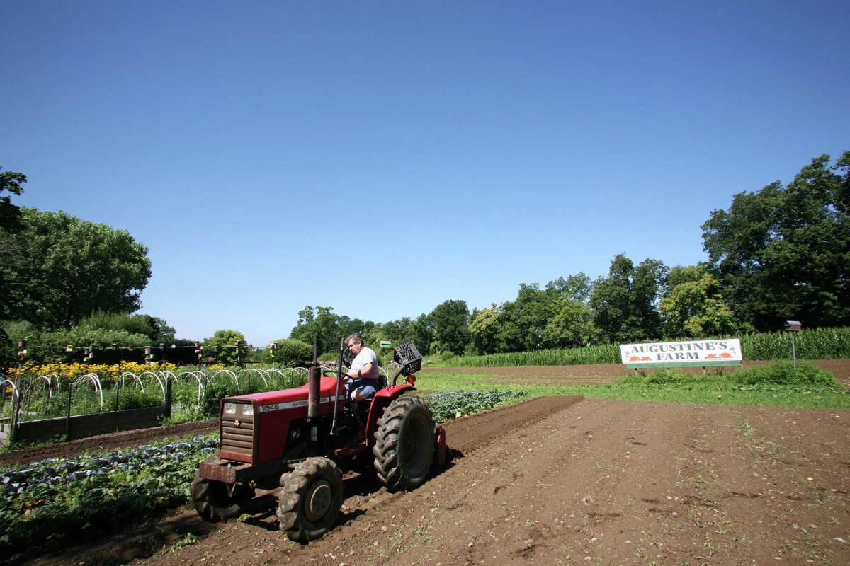 Summer not kind to town's only farm