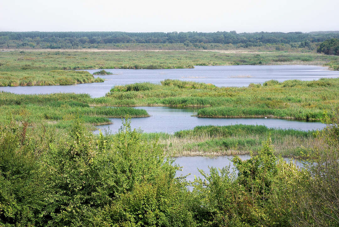 50 UNESCO natural World Heritage Sites