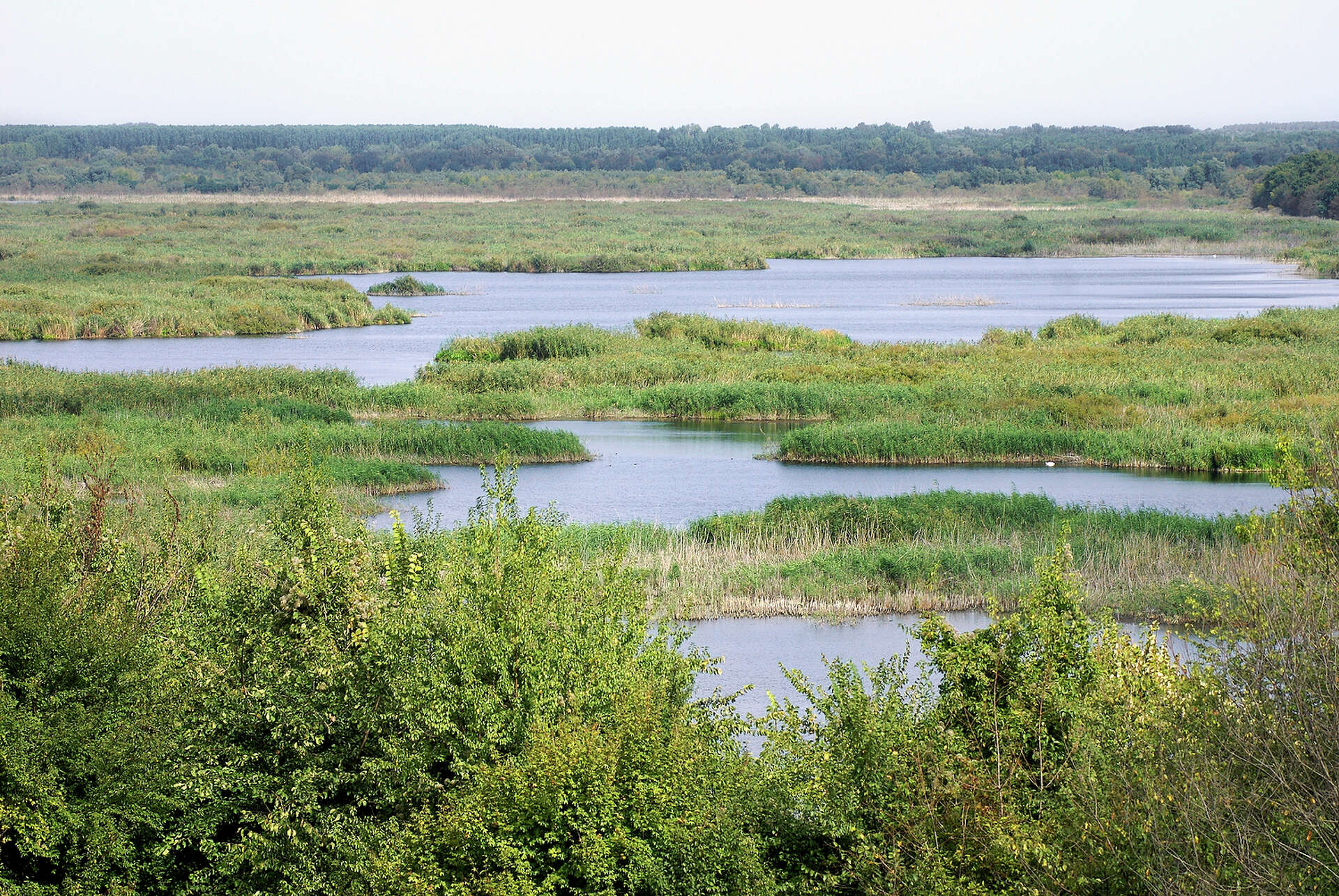 50 UNESCO natural World Heritage Sites