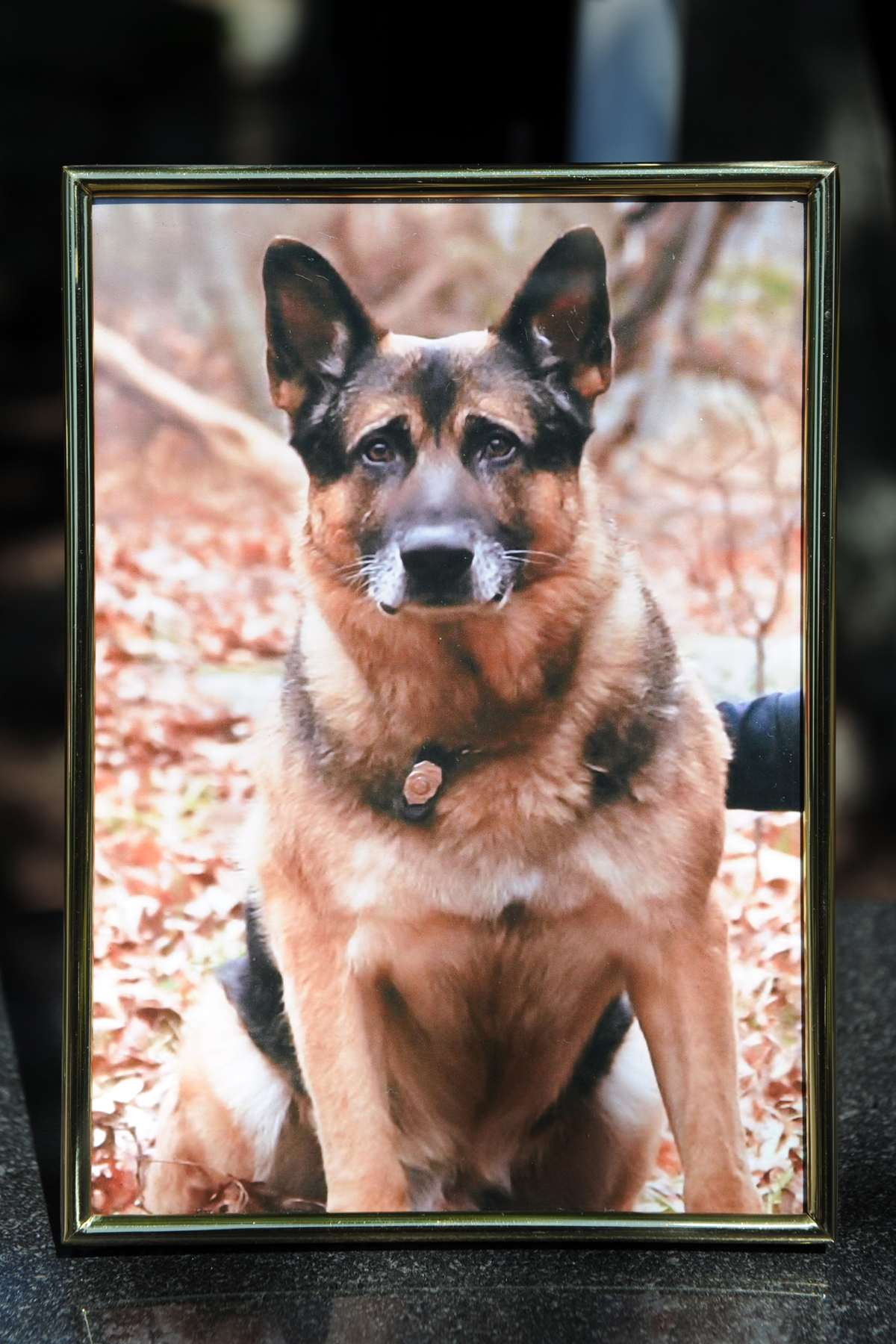 Ceremony recalls K9's nine years on the force