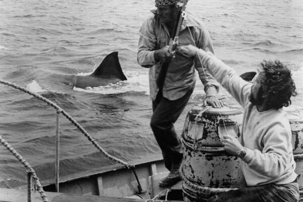 ‘Jaws 2’ was almost ‘Saving Private Ryan’ ... but with sharks ...