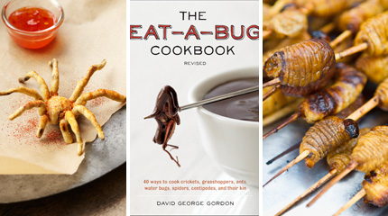The Eat-a-Bug Cookbook and edible insects