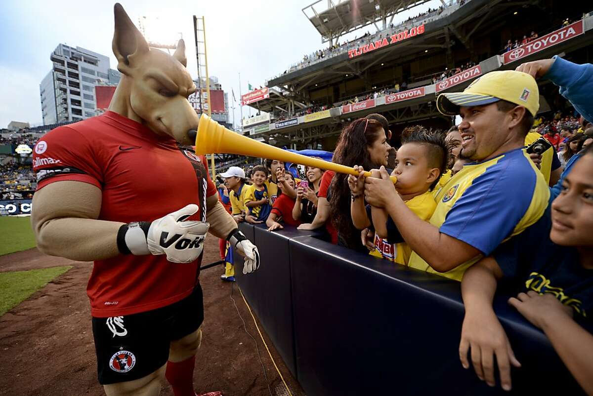 The Xoloitzcuintle, an Aztec dog breed indigenous to Mexico, is among ...