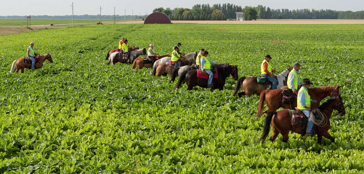 Water proves deadly lure for autistic children
