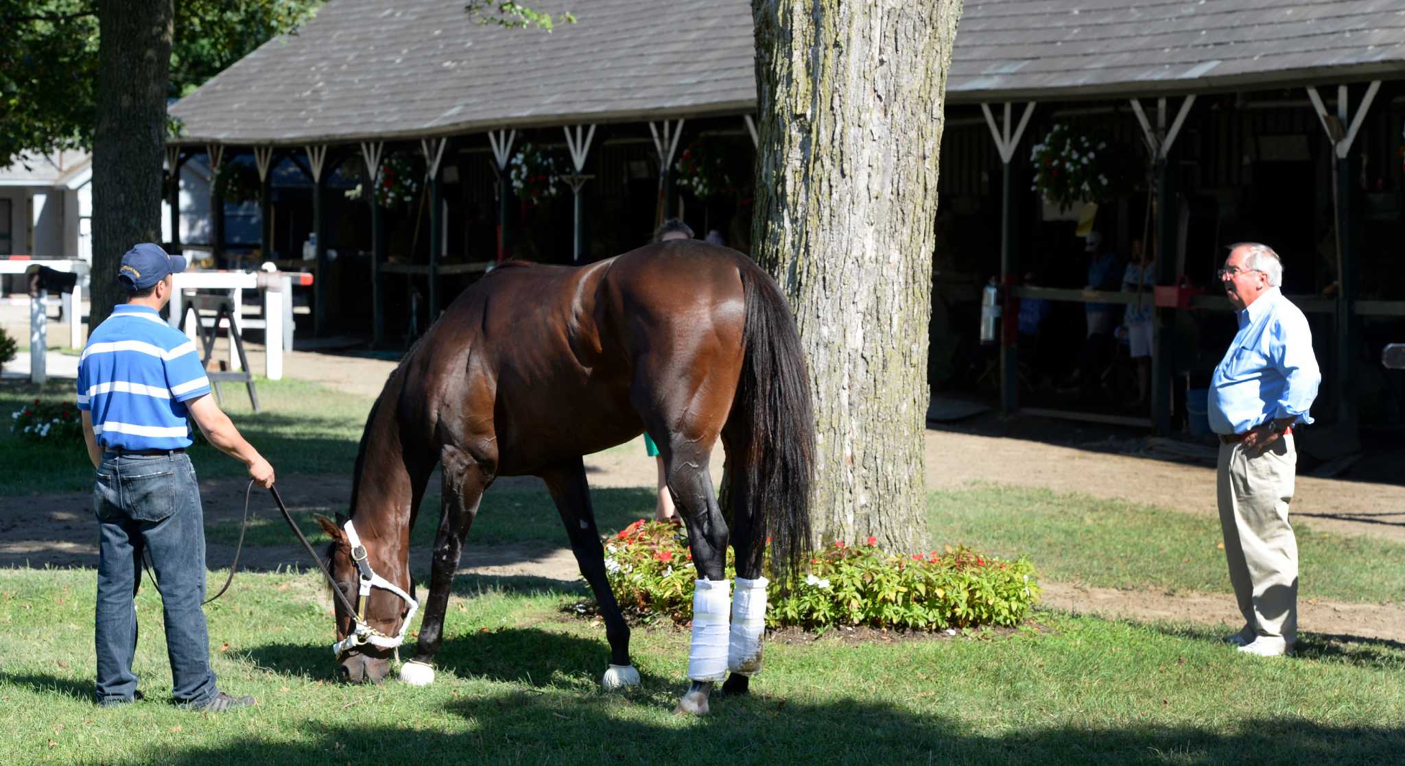 Pletcher's stars put in major works