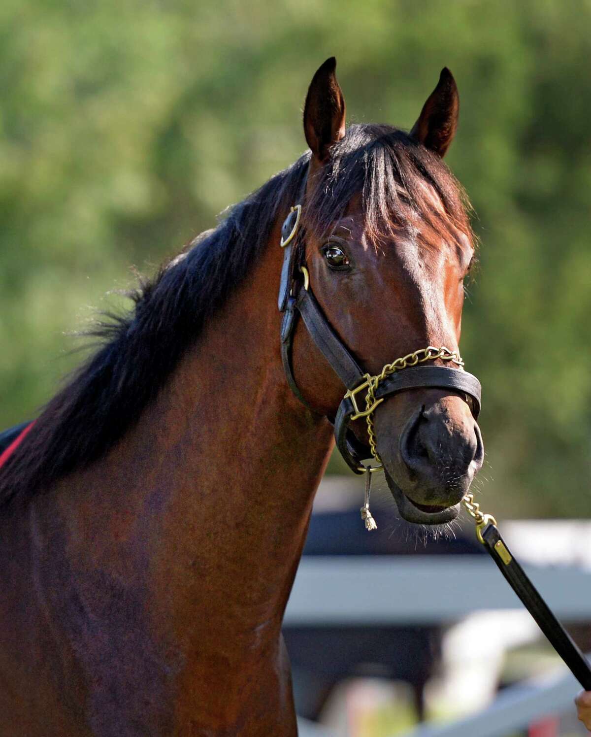 Orb muscles in at the Spa