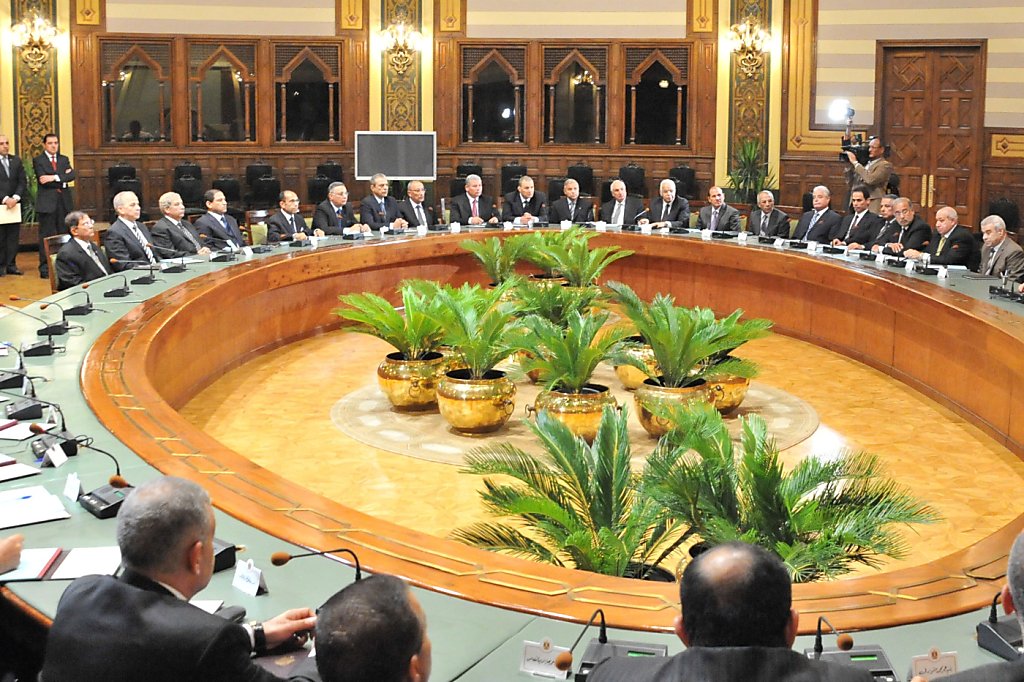 Egypt's new leader replaces 20 regional governors
