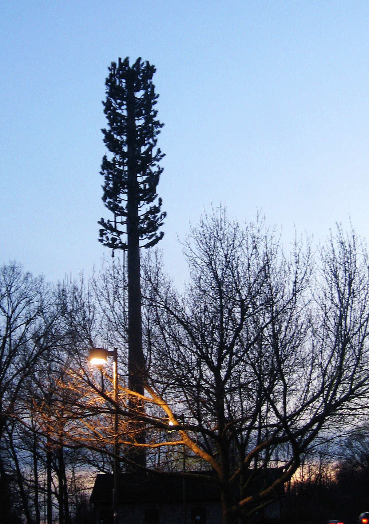 'Frankenpine' looms over Monroe, Newtown