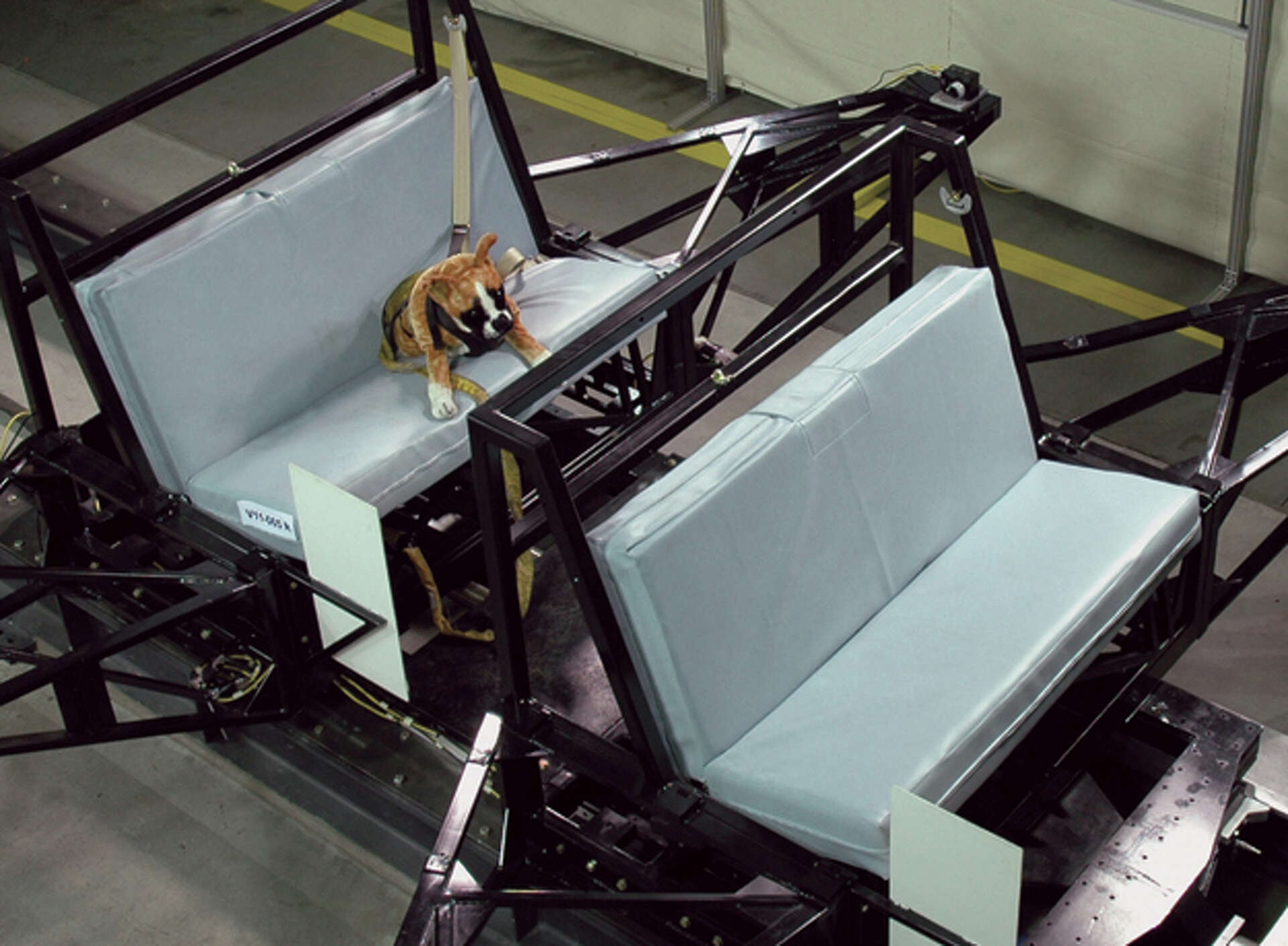 Subaru kick starts dog-safety tests