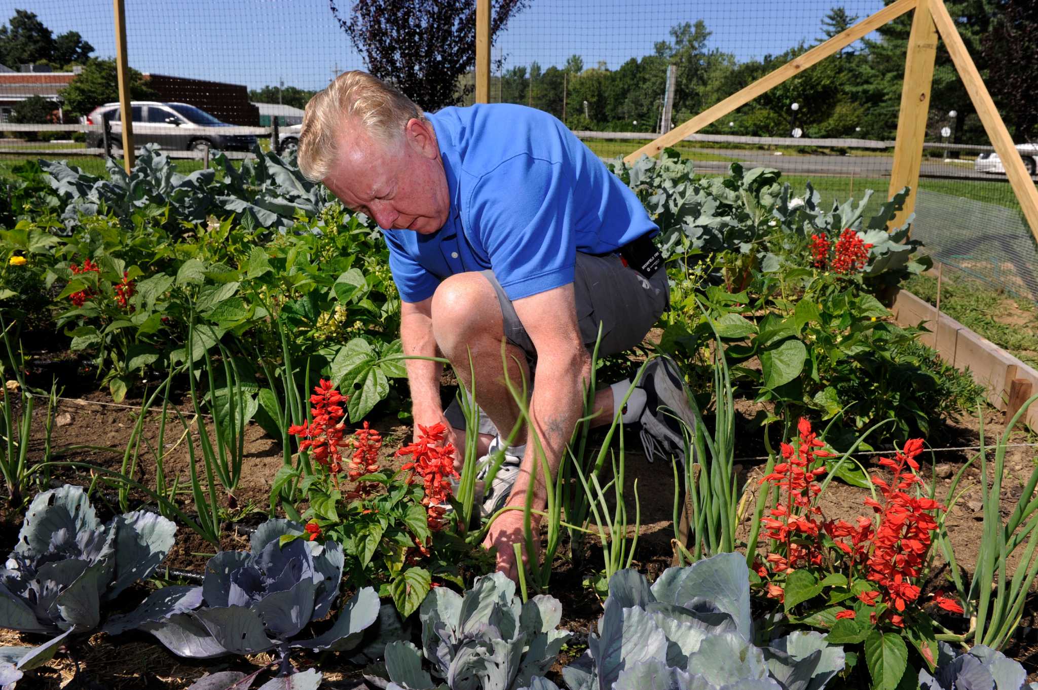 Students dig master gardener program in Bethel