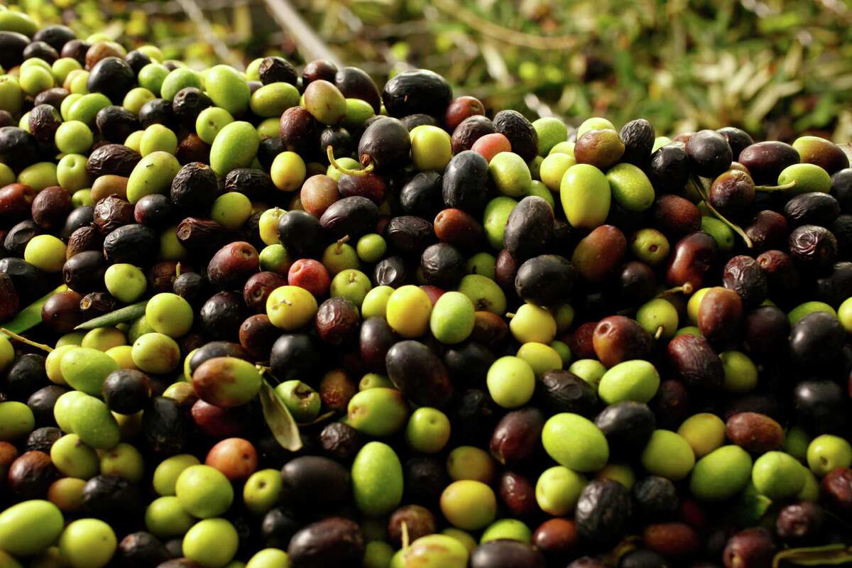 Extra virgin olive oil buying guide