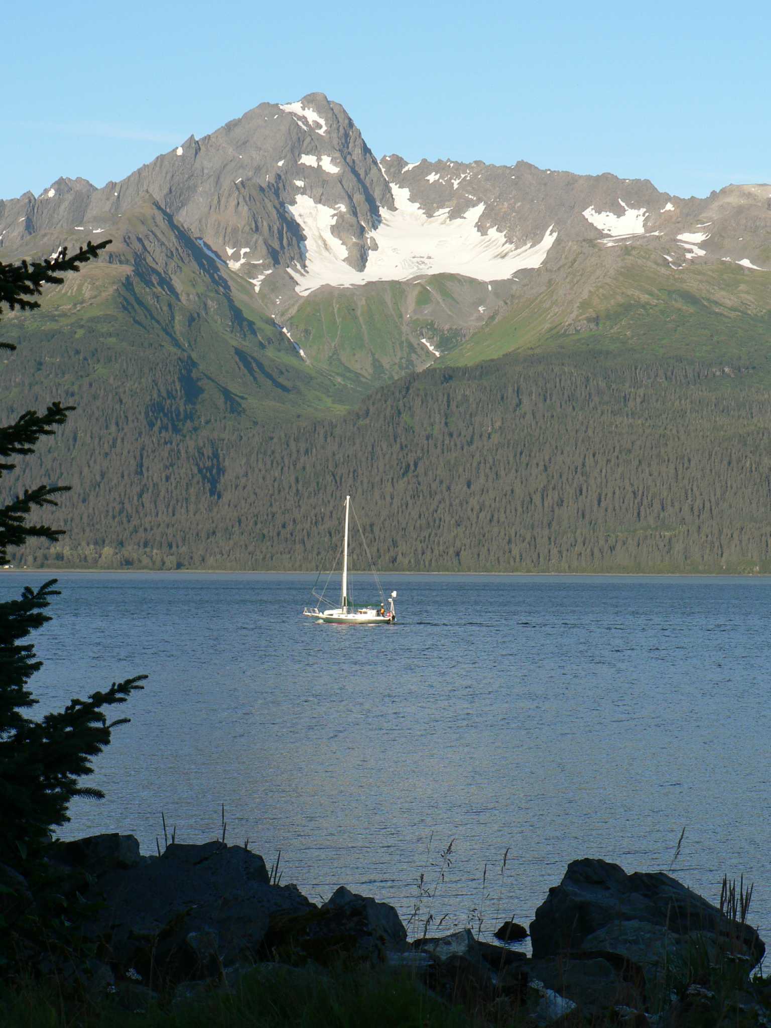 Life on a grand scale