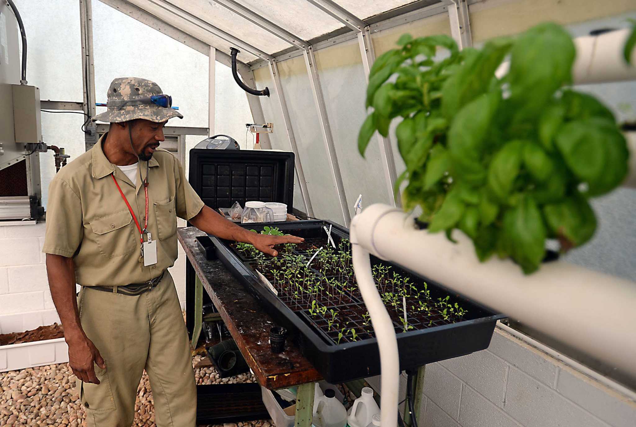 Crops without soil for nation short on land