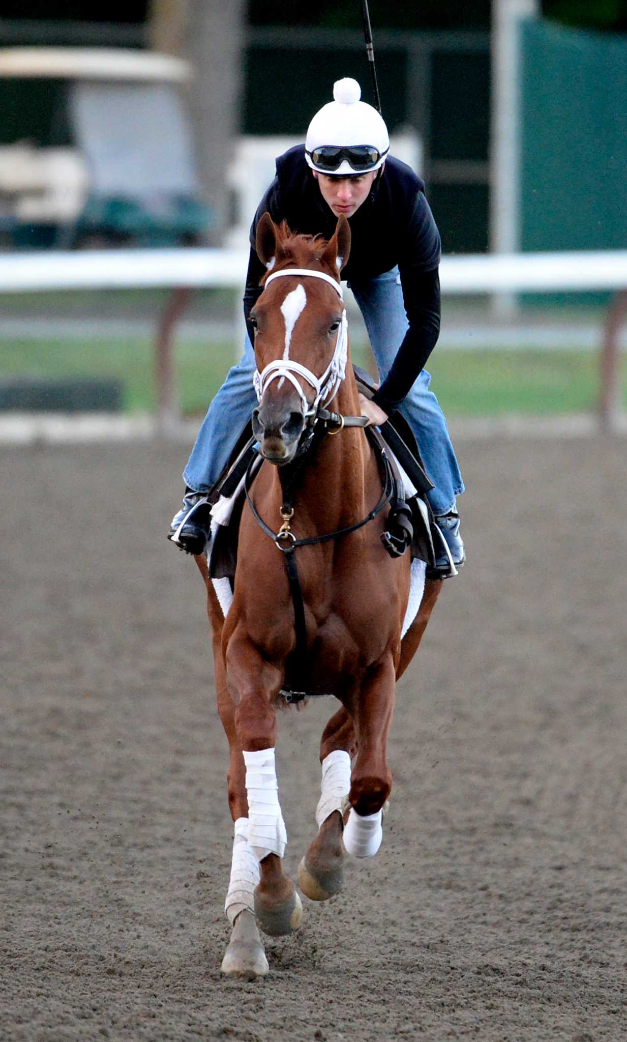 Filly to beat in Alabama