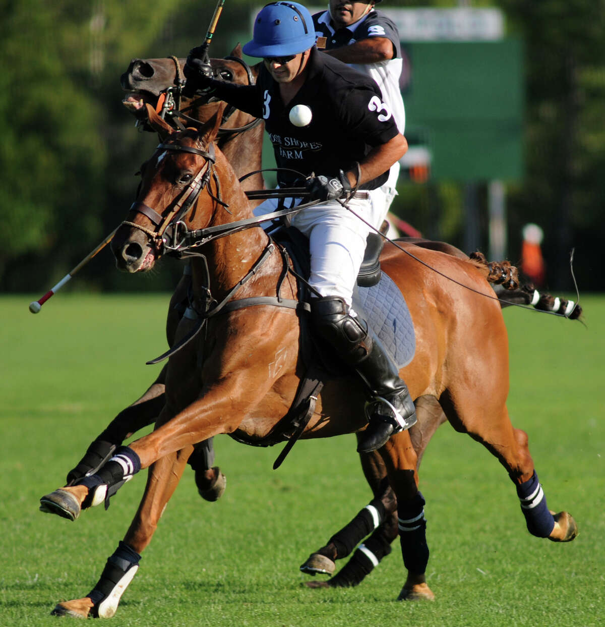 Photos: Saratoga Polo