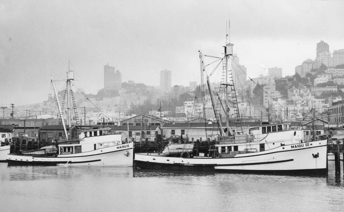Ships ahoy: Boats of the San Francisco Bay