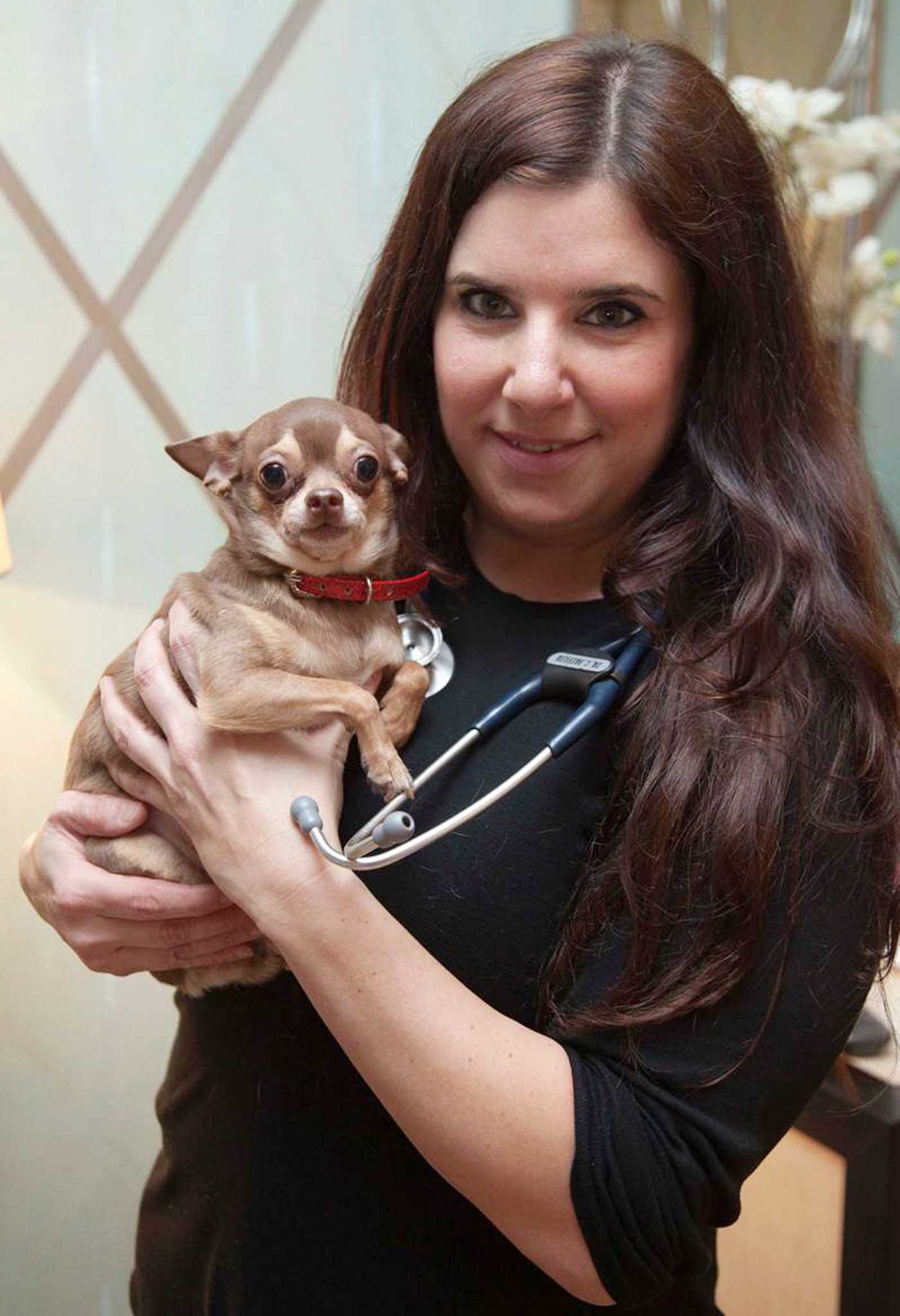 Call the vet, reserve a jet, grab sick pet and go