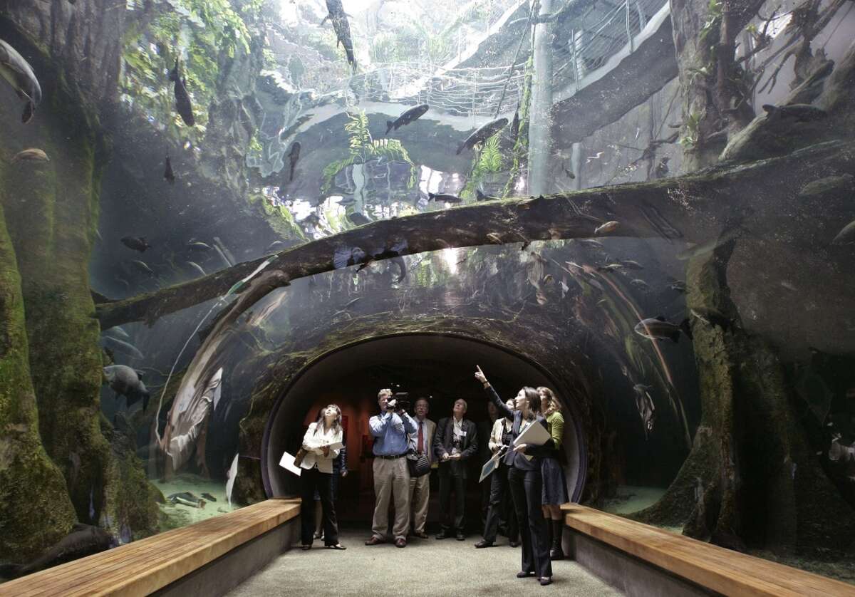 Cheap fun in San Francisco during the winter