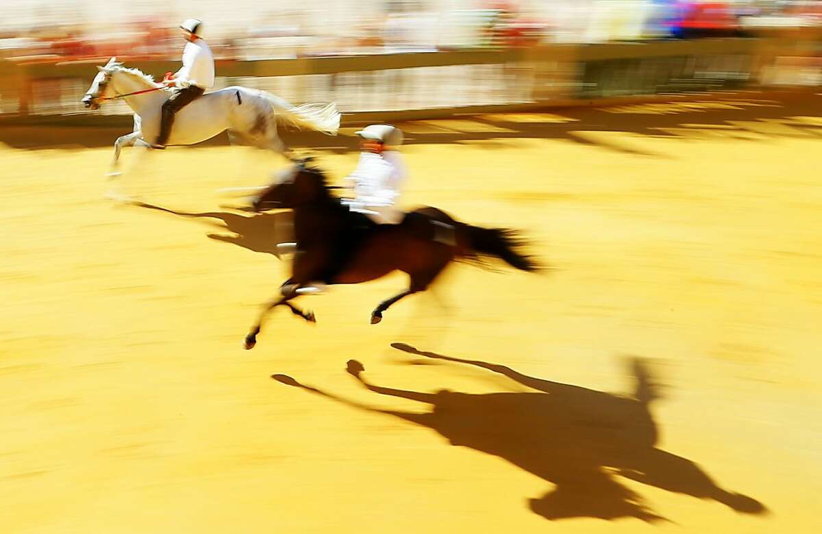 The world's most dangerous horse race