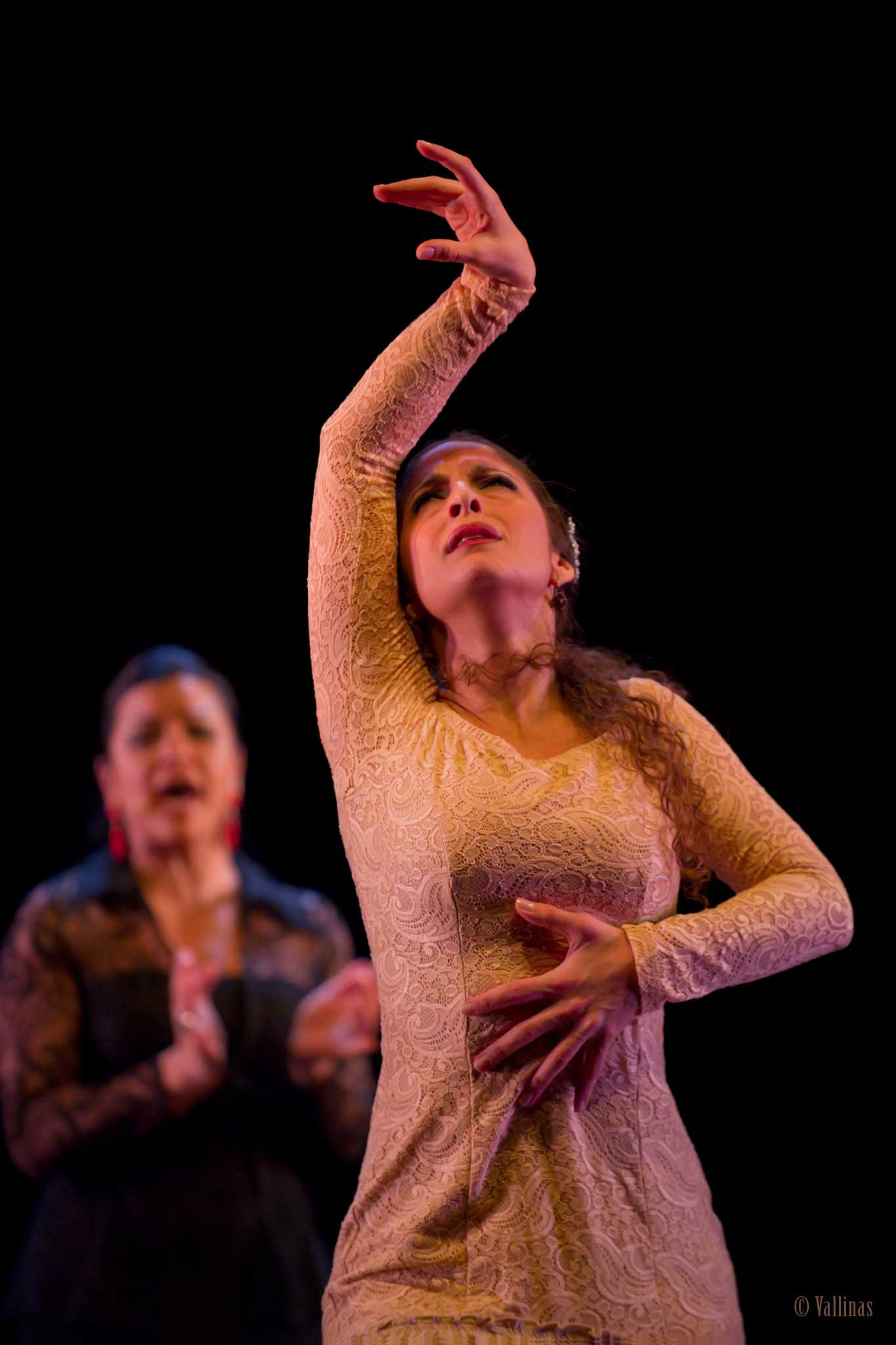 Flamenco showcase