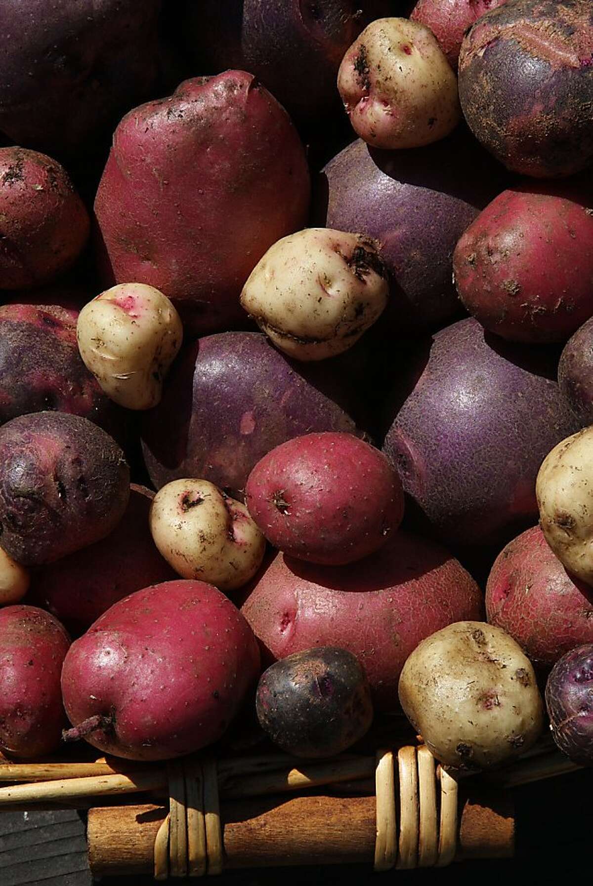 Spuds for small spaces