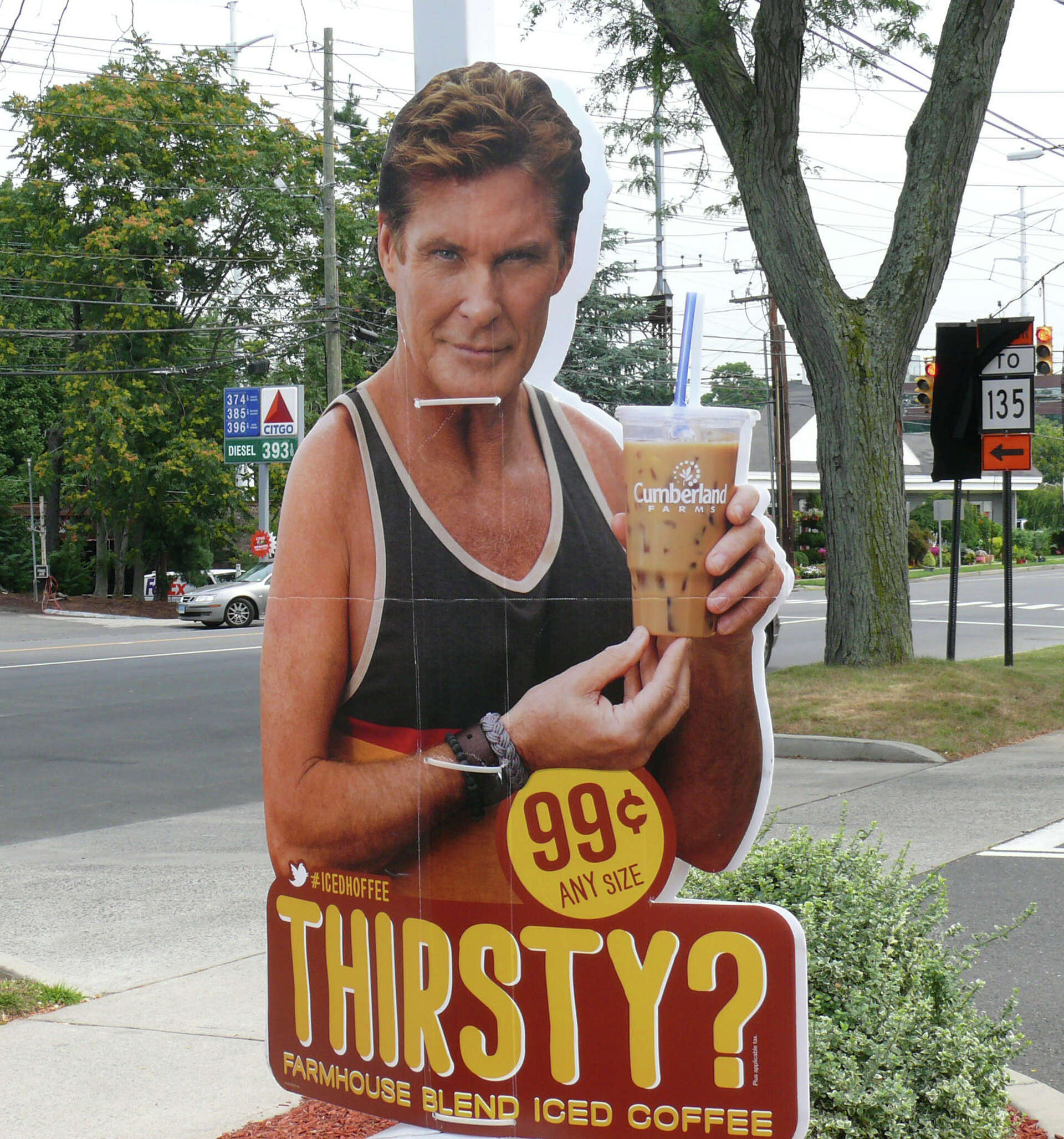 Clerk hurt protecting Hasselhoff ad signs