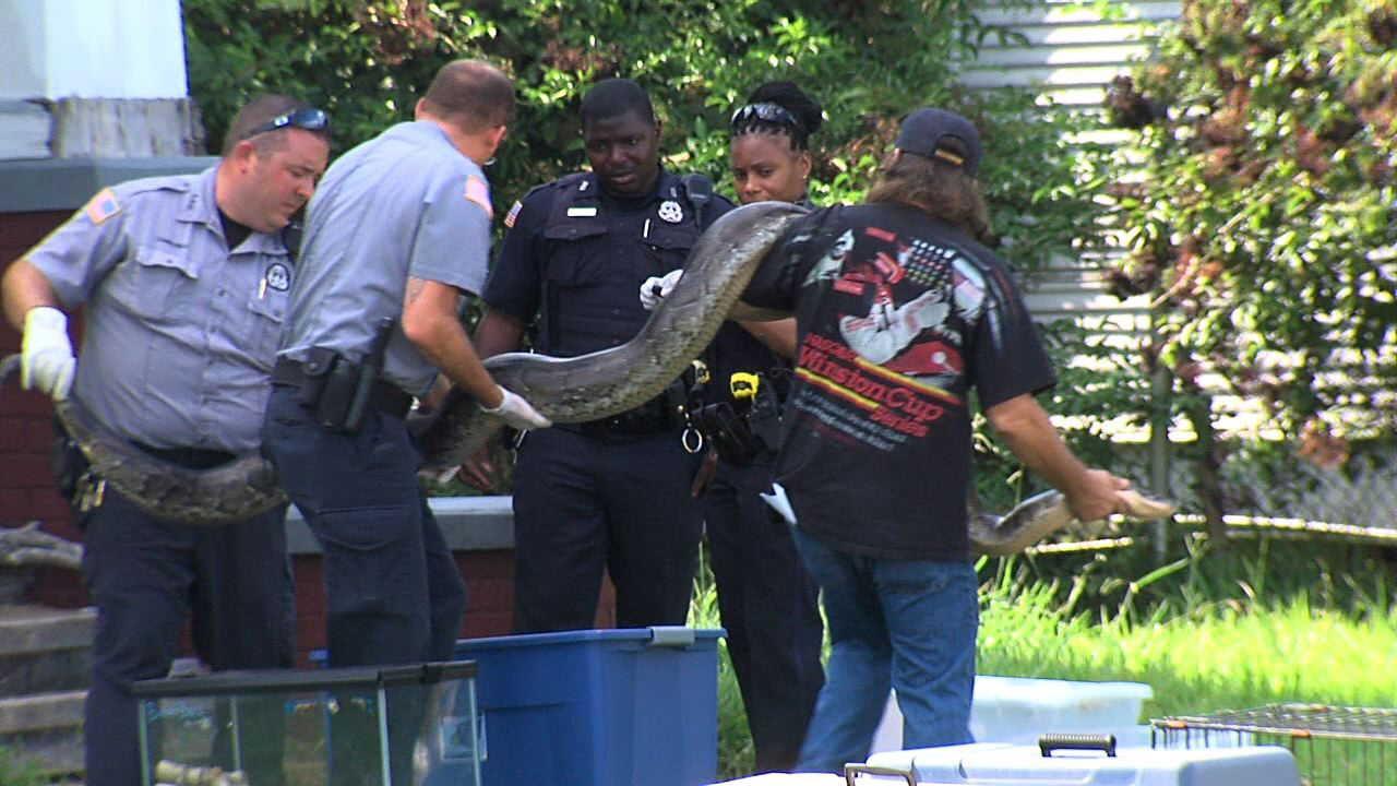 12-foot python among animals seized in Beaumont home