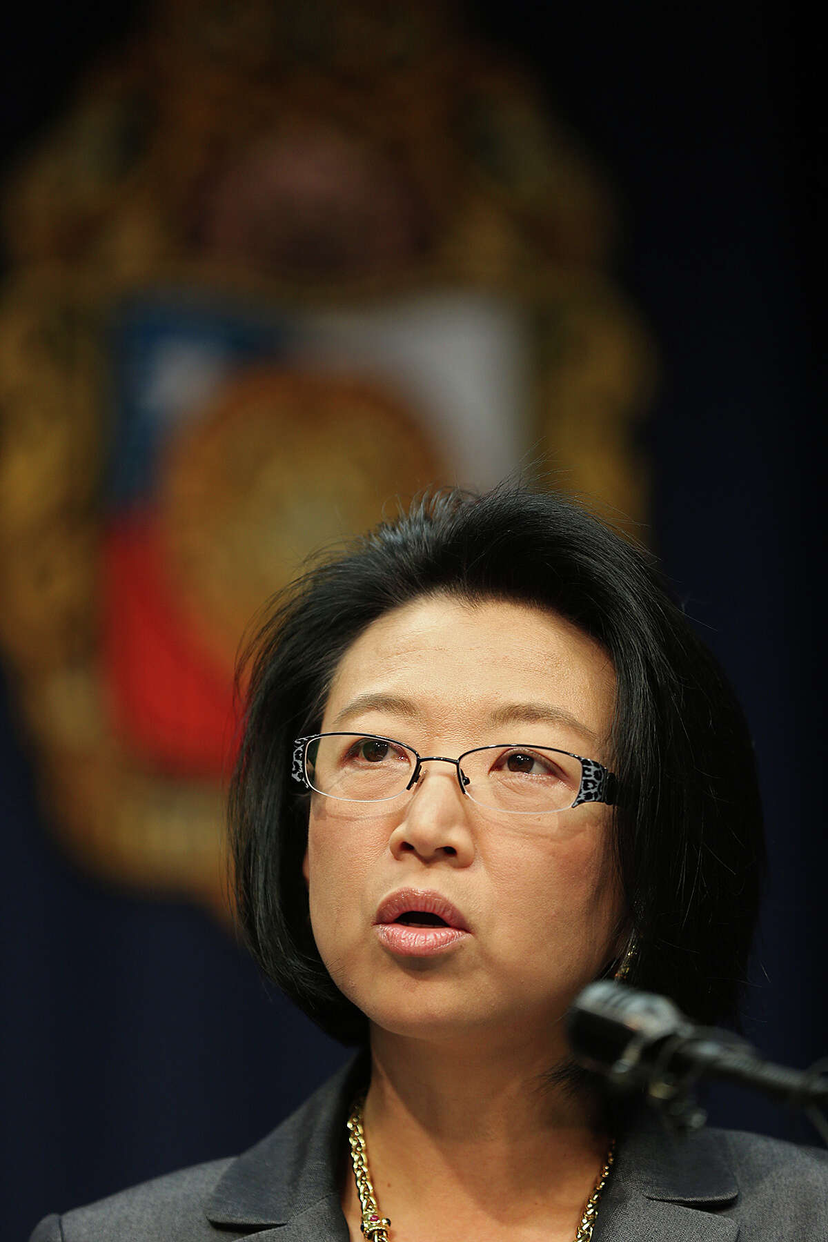 Elisa Chan says anti-gay remarks are free speech