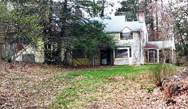 Anti-blight proposal raises preservationist concerns