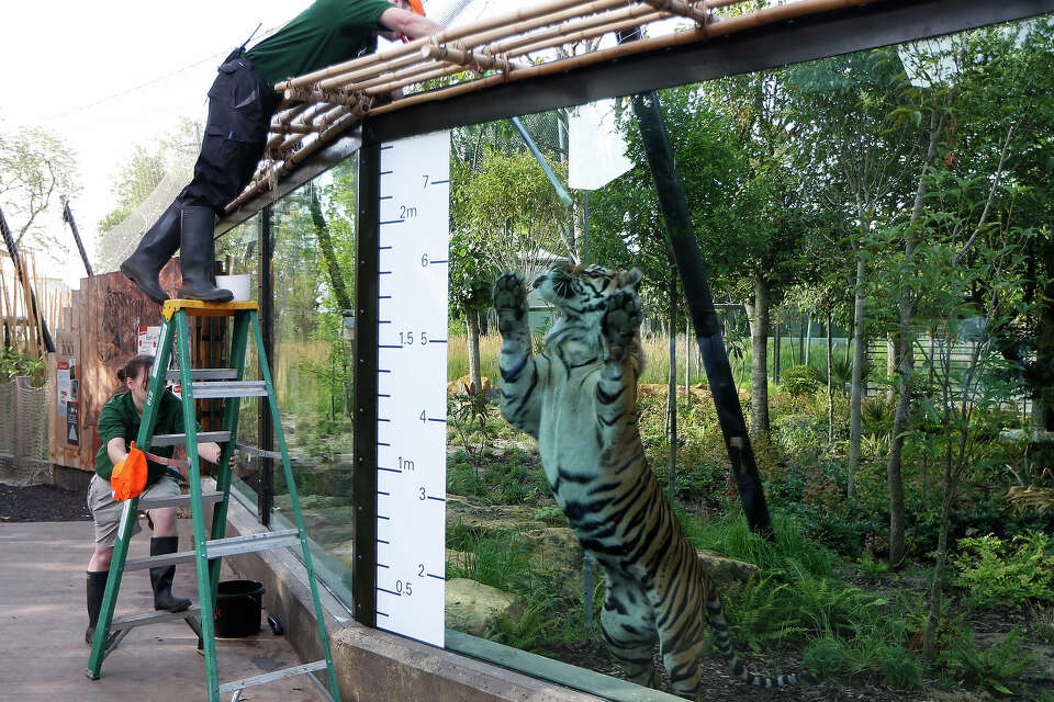 Weigh-in at the London Zoo