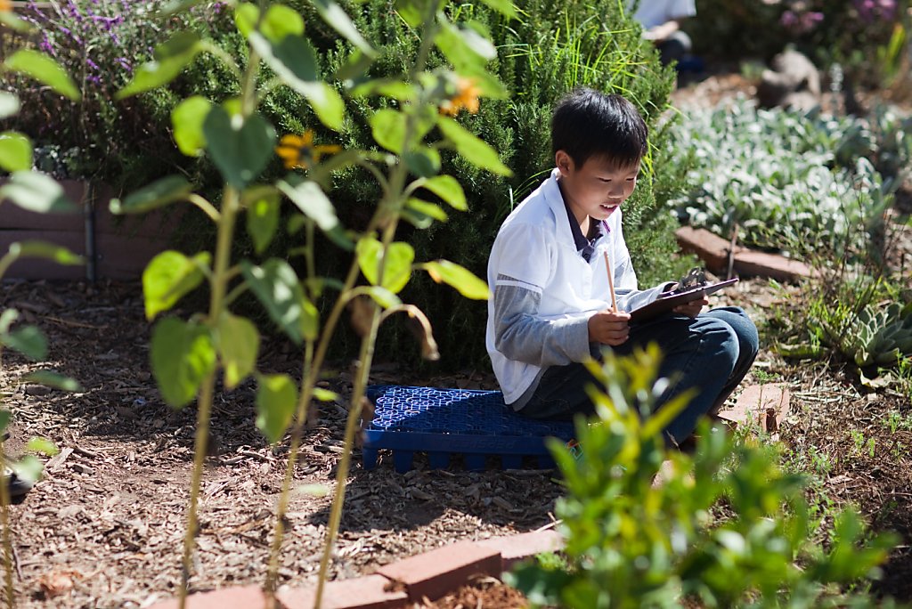 Education Outside expands green program to 22 schools