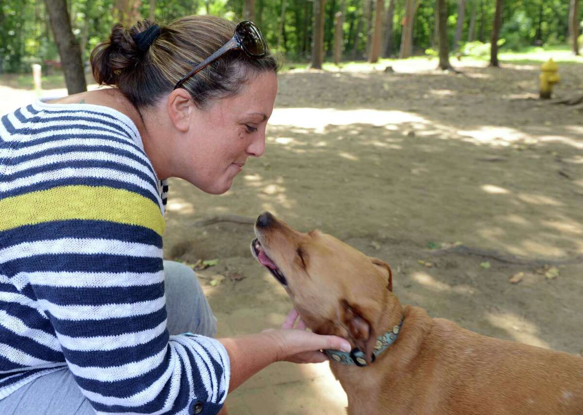 Where to take your dog around SW Connecticut